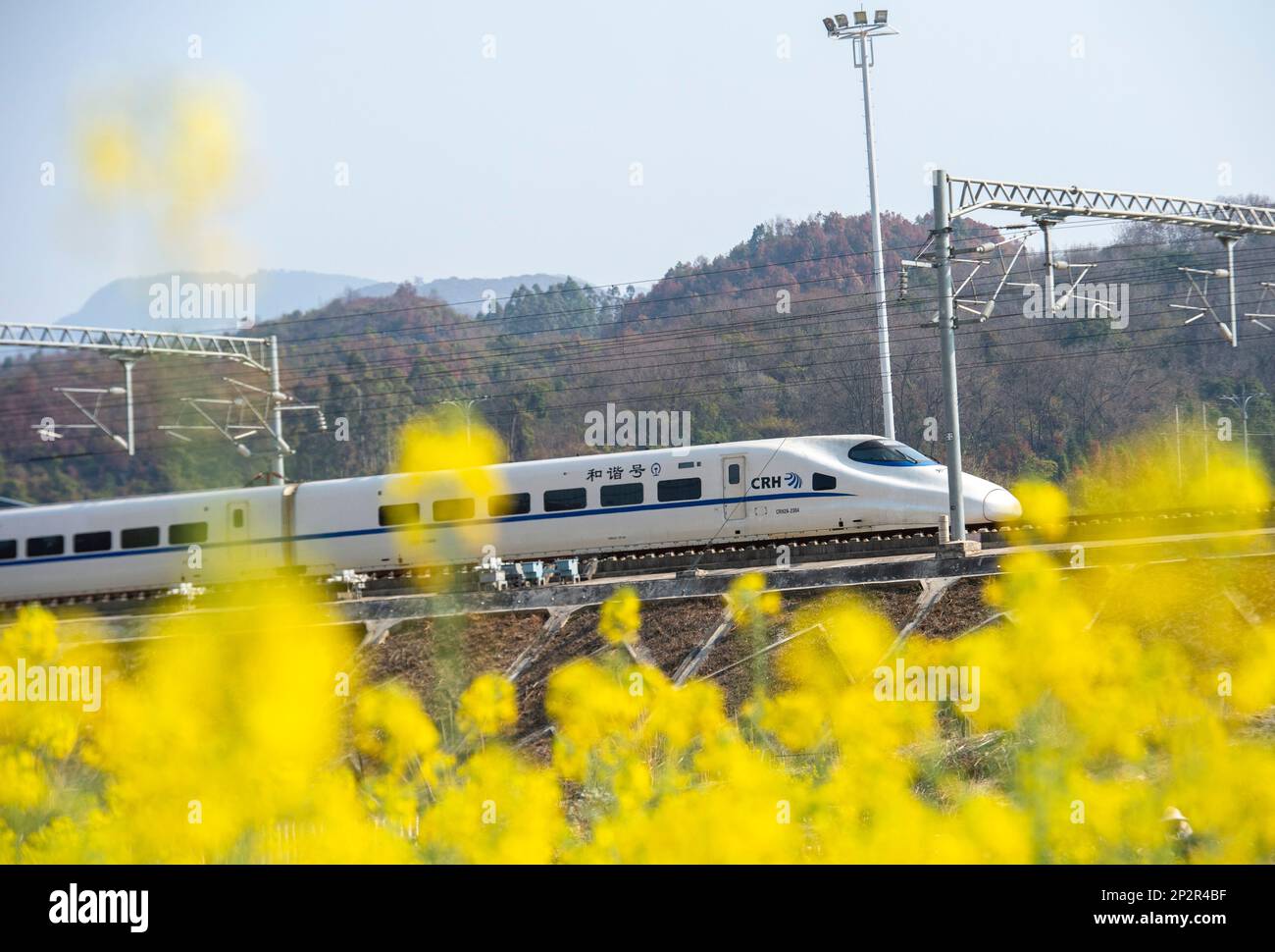 A bullet train runs near the Luoxiang town section of the Guiyang ...