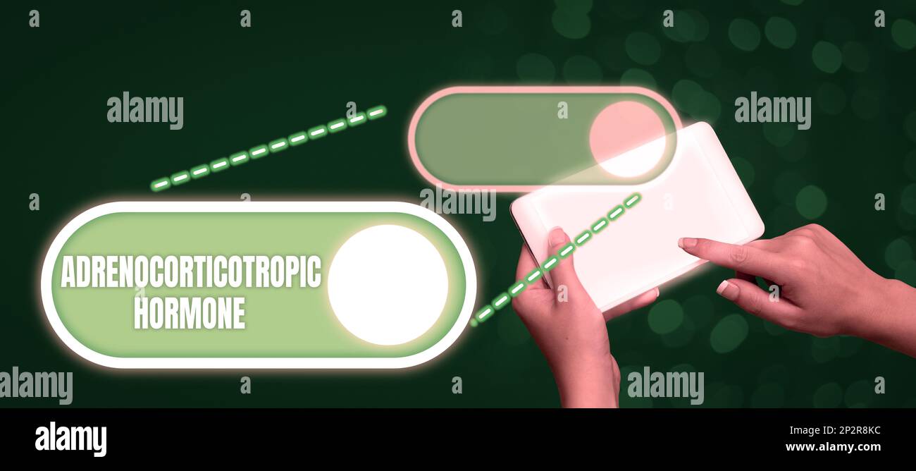 Writing displaying text Adrenocorticotropic Hormone. Word Written on ...