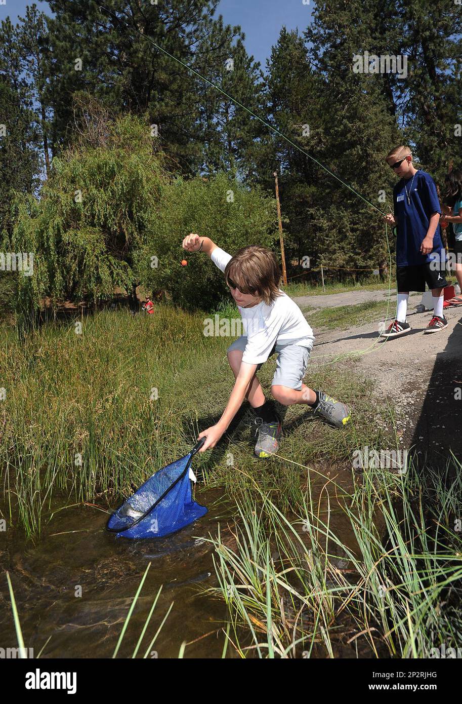 In this photo taken on June 16, 2015, Dean Buch ,11, helps net a ...
