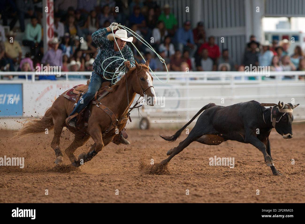 Kollin VonAhn competes in the team roping competition during the first ...
