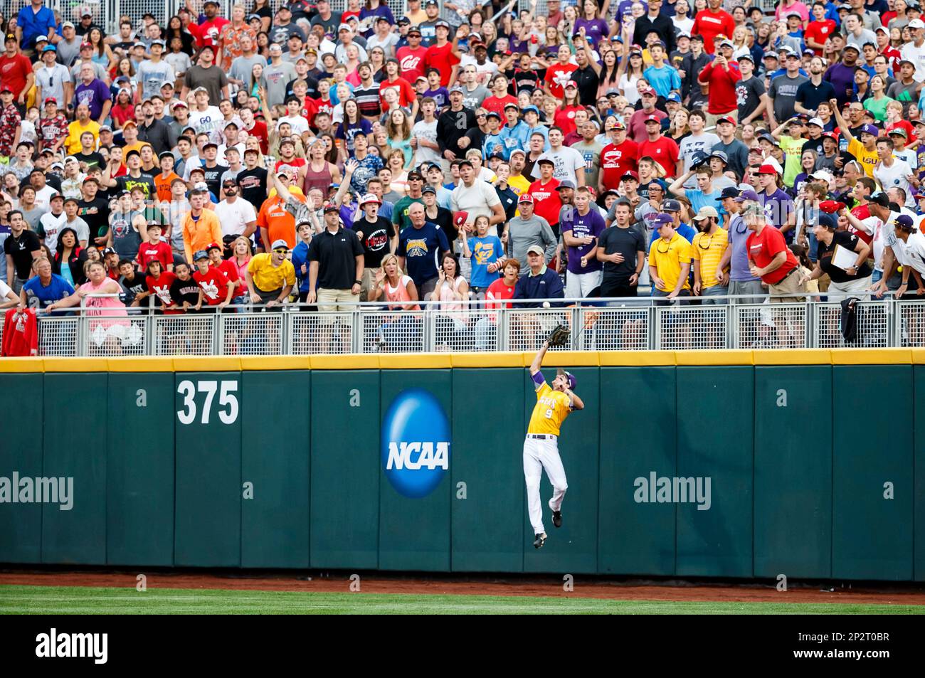 June 18, 2015: LSU right fielder Mark Laird #9 leaps and catches a fly ...
