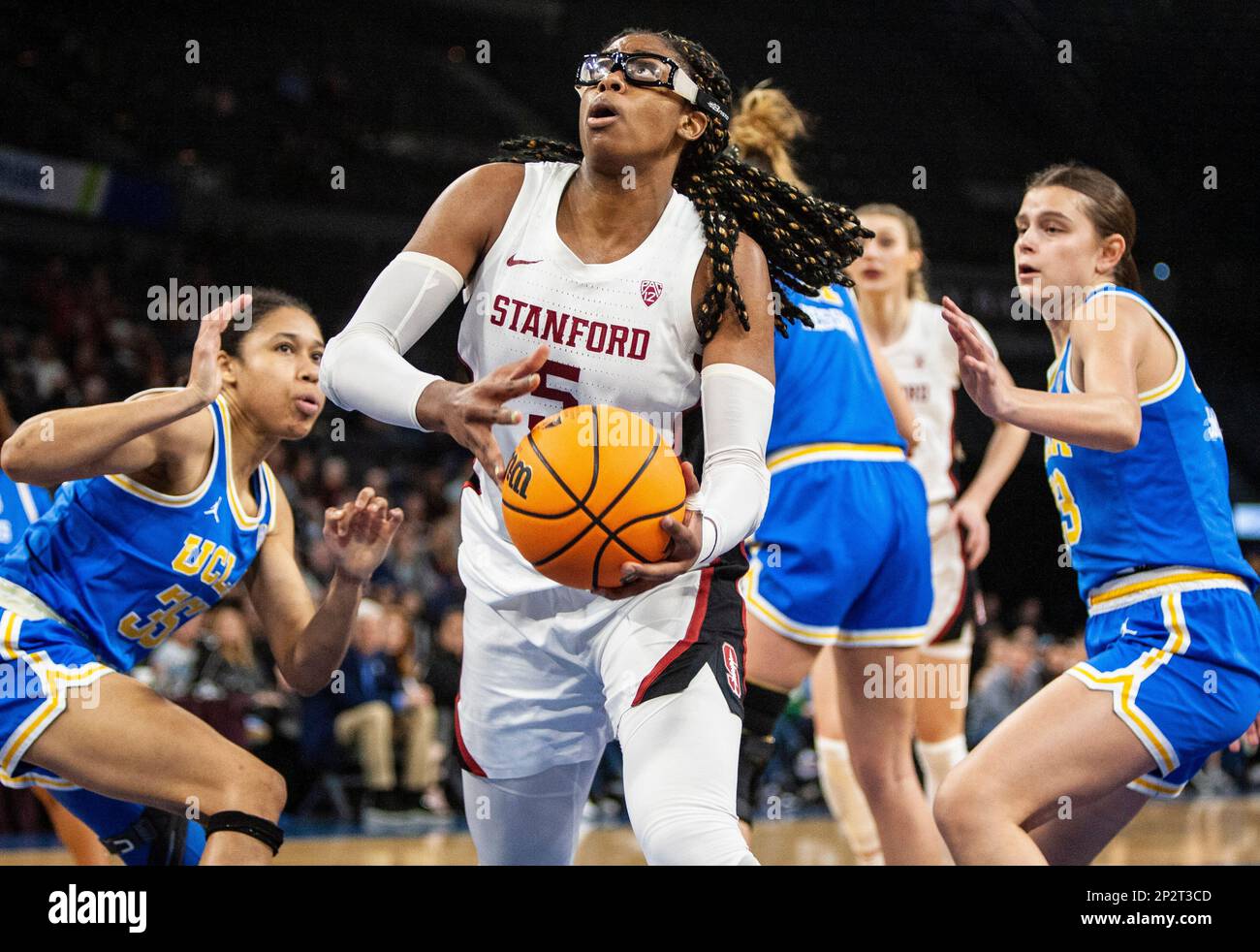 Francesca belibi hi-res stock photography and images - Alamy