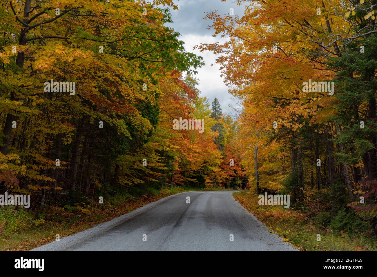 A lazy Sunday drive shows mid-October fall colours peaking on rural ...