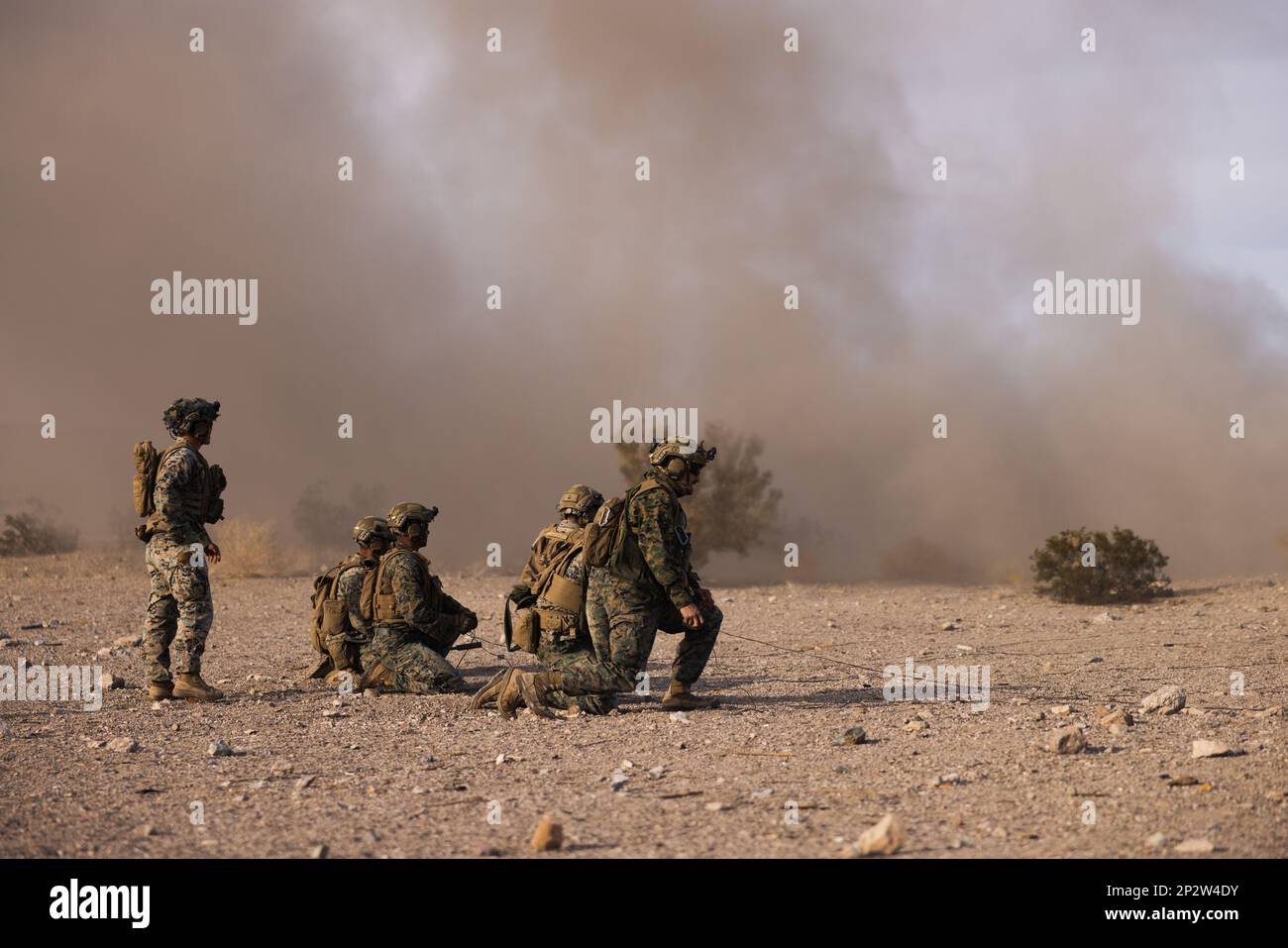 U.S. Marines with 3d Littoral Combat Team, 3d Marine Littoral Regiment ...