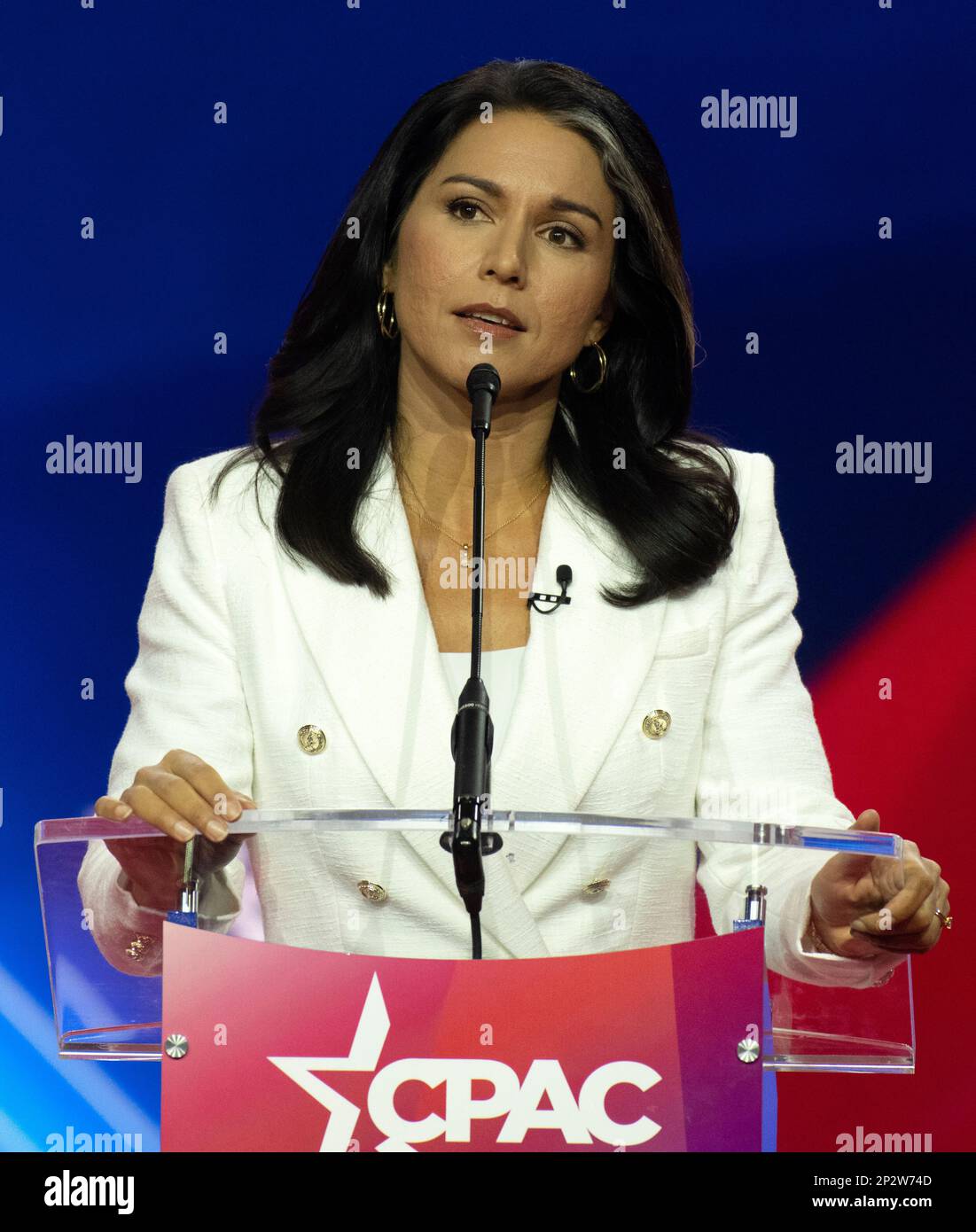 Tulsi gabbard army hi-res stock photography and images - Alamy