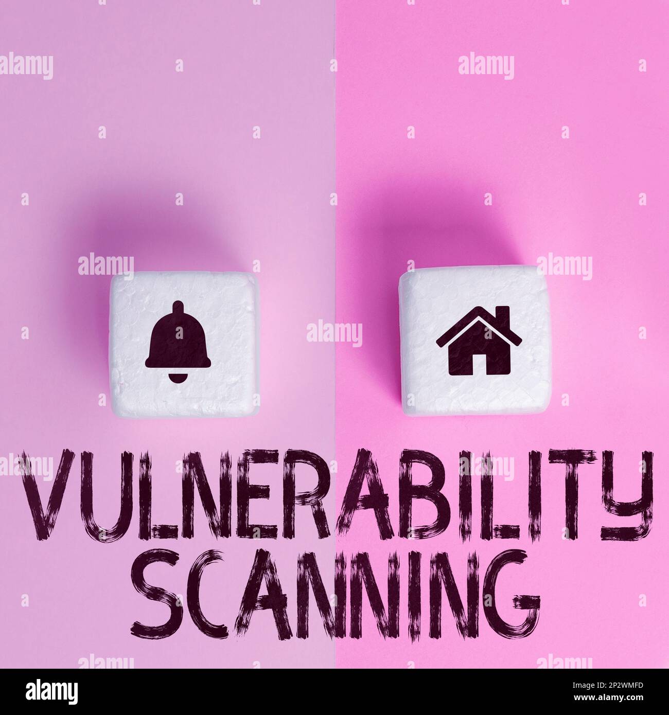 Conceptual display Vulnerability Scanning. Business showcase defining ...