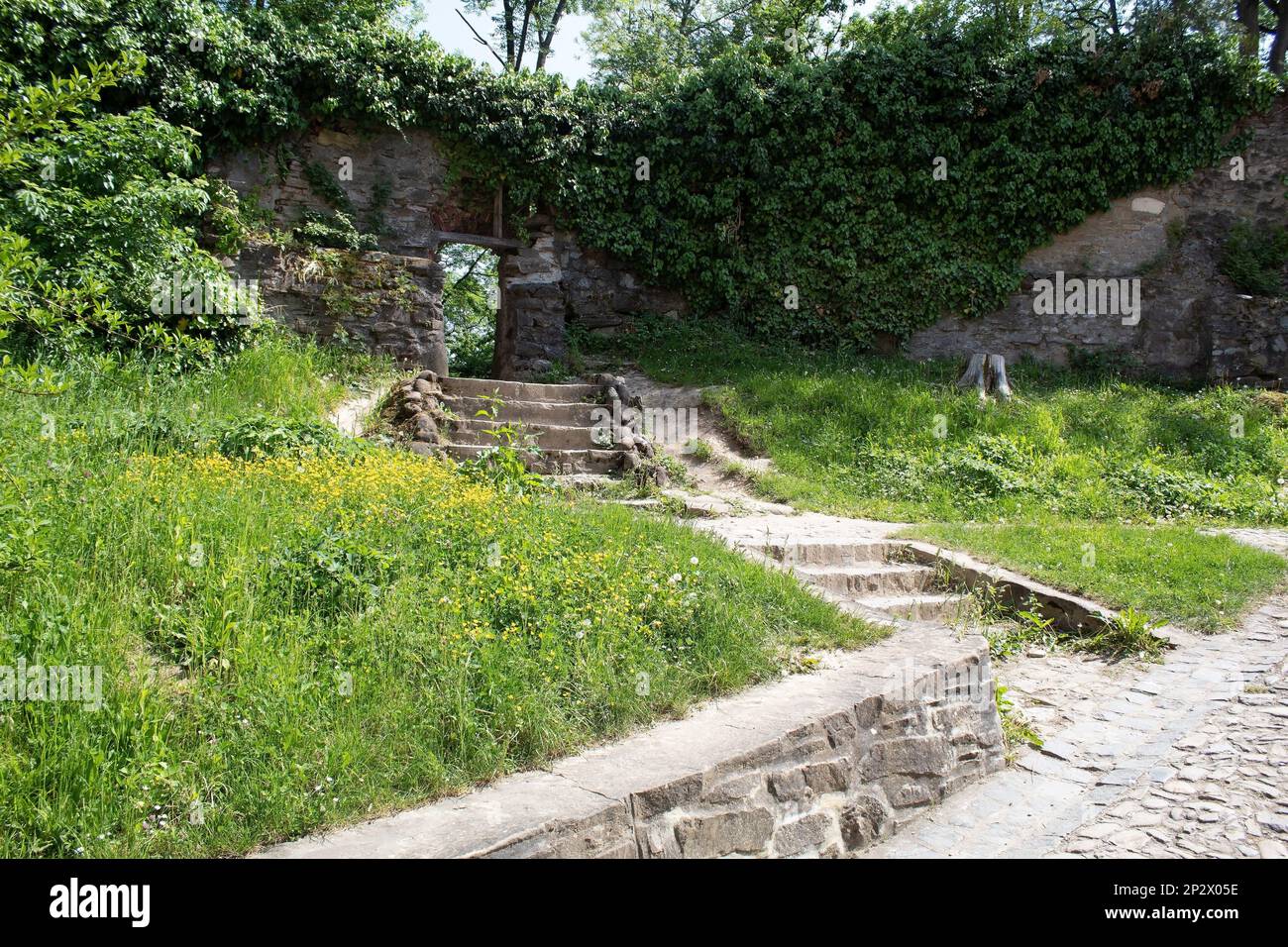 Grave with stairs hi-res stock photography and images - Alamy
