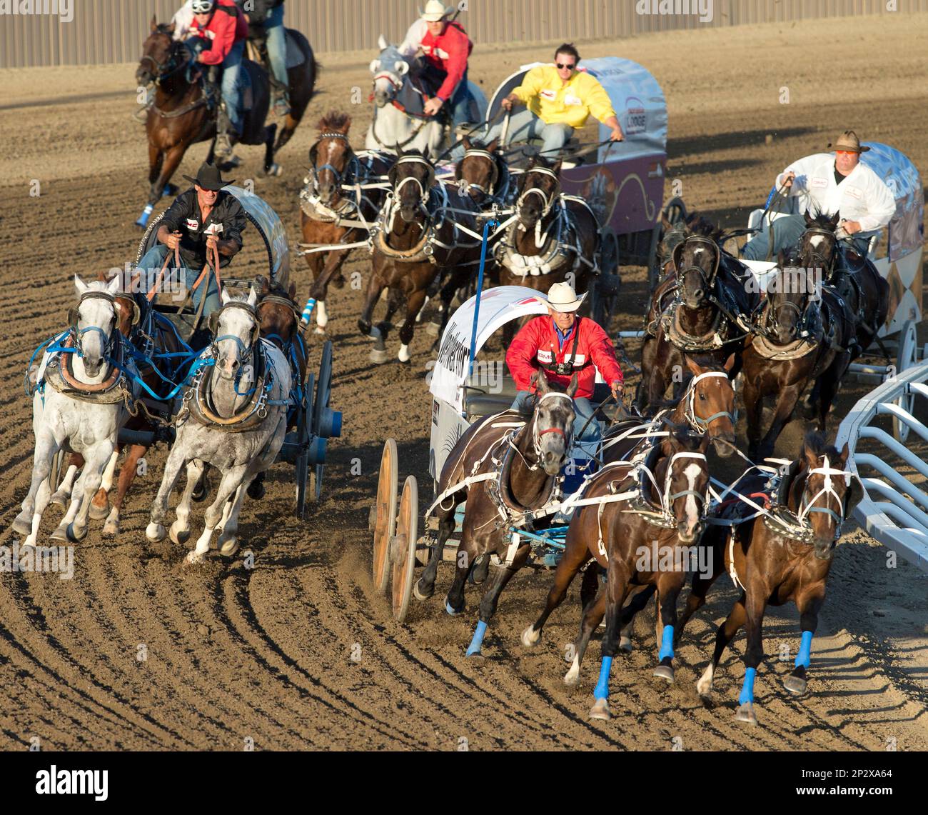 Chuckwagon Racing during the Calgary Stampede in Calgary, Alberta on ...