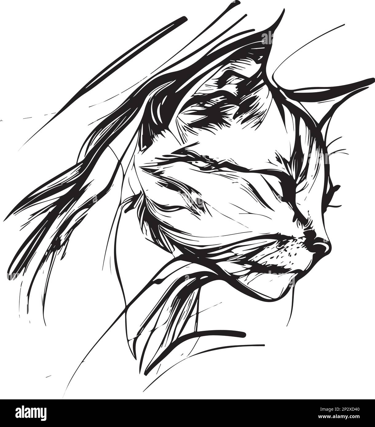 Vector Hand drawn Illustration of a Cat Head Stock Vector Image & Art ...