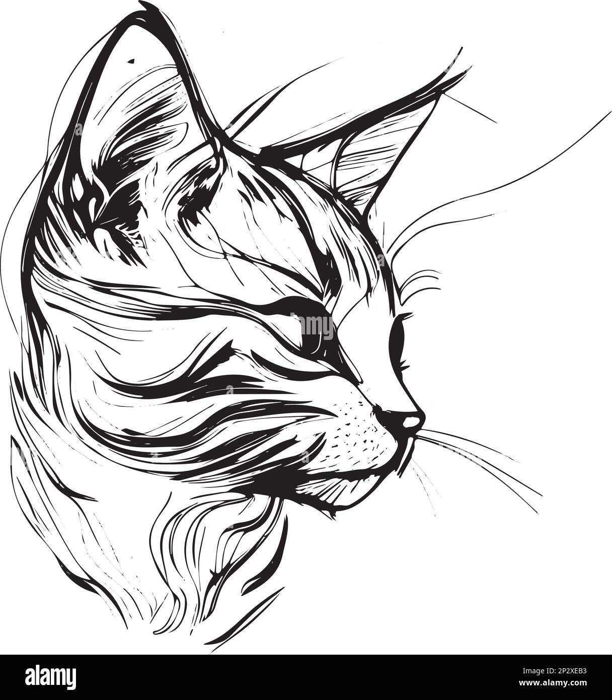 Vector Hand drawn Illustration of a Cat Head Stock Vector Image & Art ...