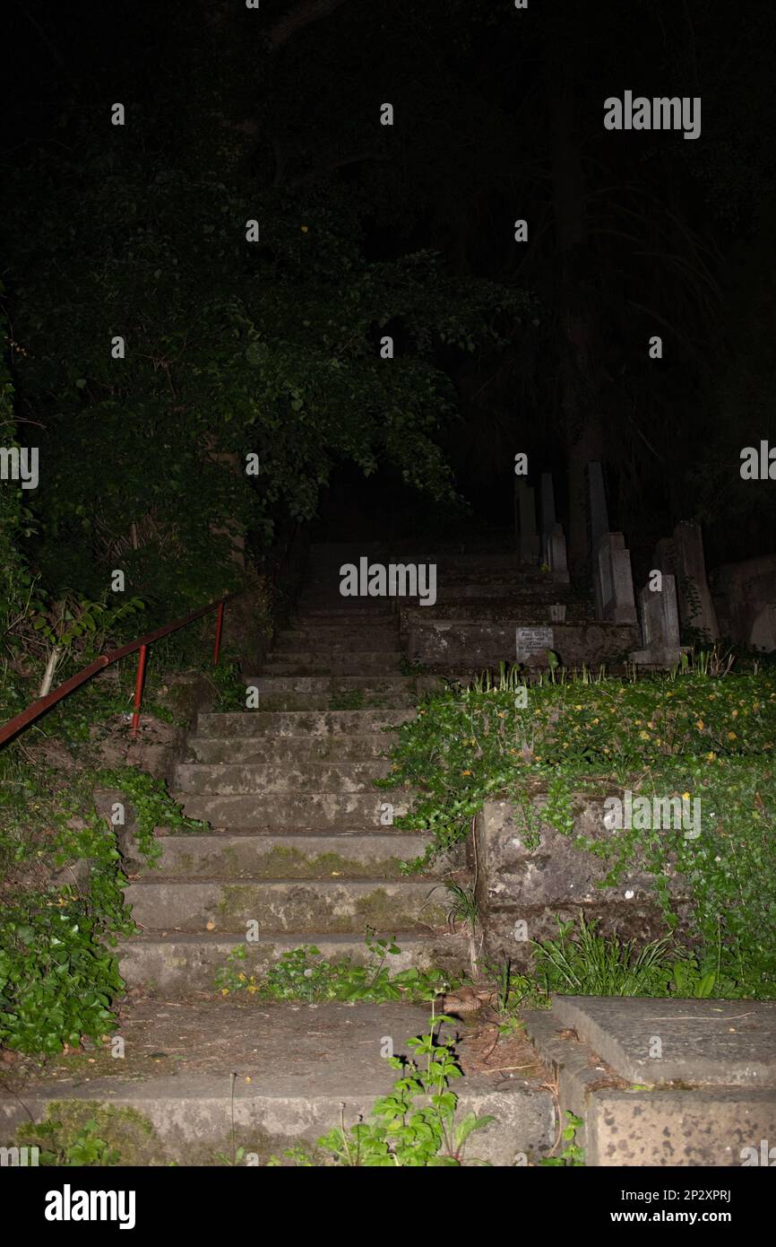 Nighttime in the graveyard at the top of the hill in Transylvania ...
