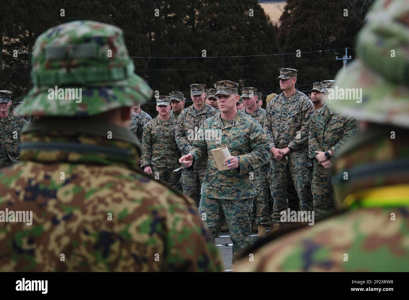 U.S. Marines with the 31st Marine Expeditionary Unit and soldiers with ...