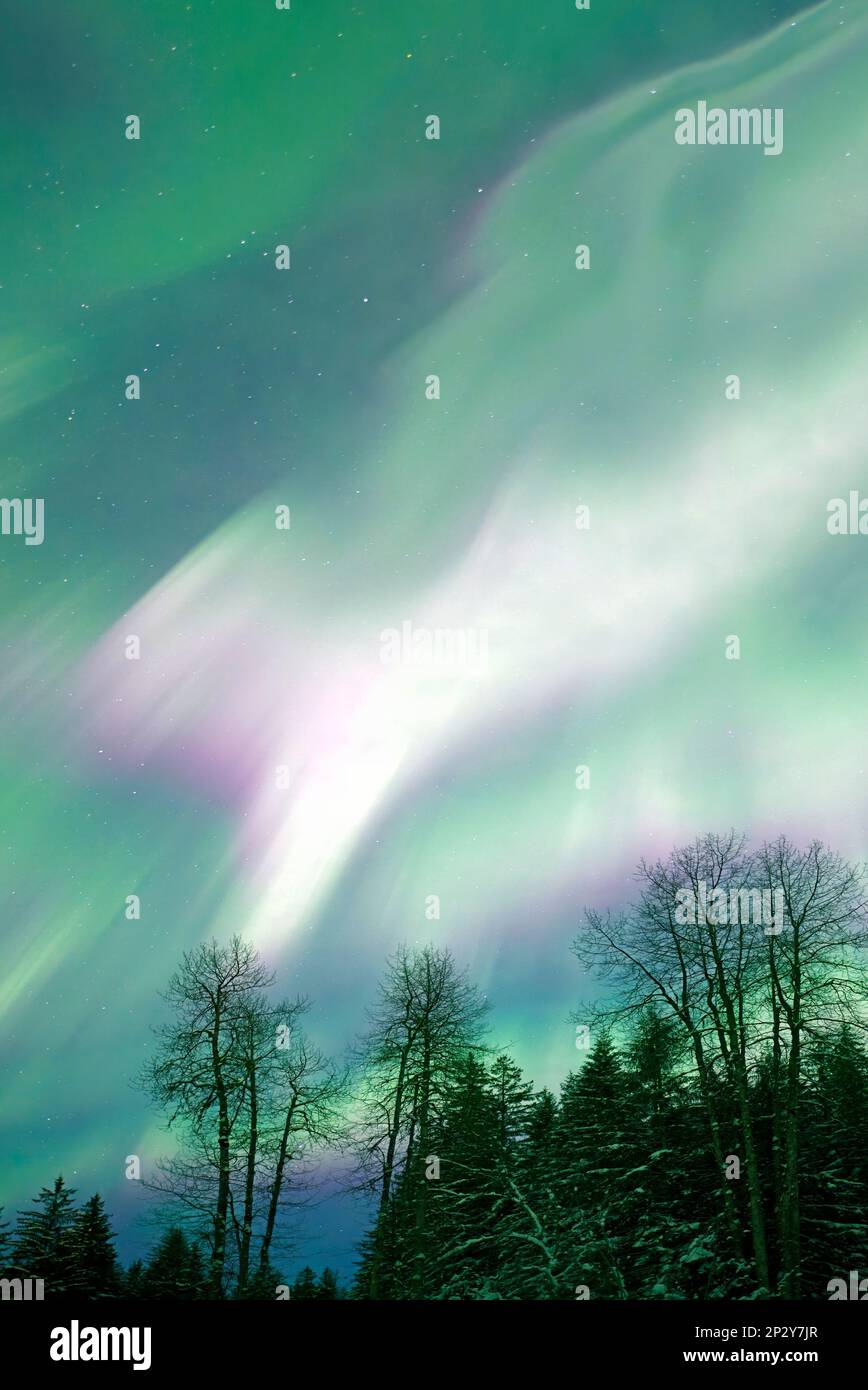 Color patterns in the night sky in Alaska with Northern Lights Aurora ...