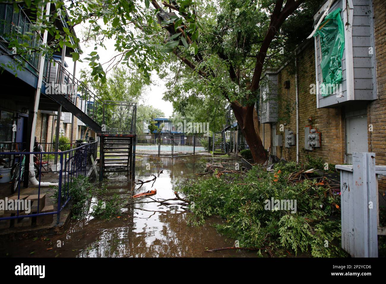 Leaves and branches are scattered throughout a flooded yard after a ...