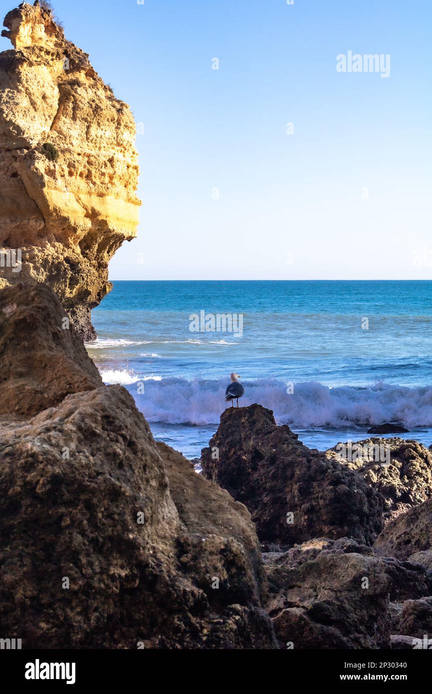 Explore one of the most famous beaches in the world in the Algarve ...