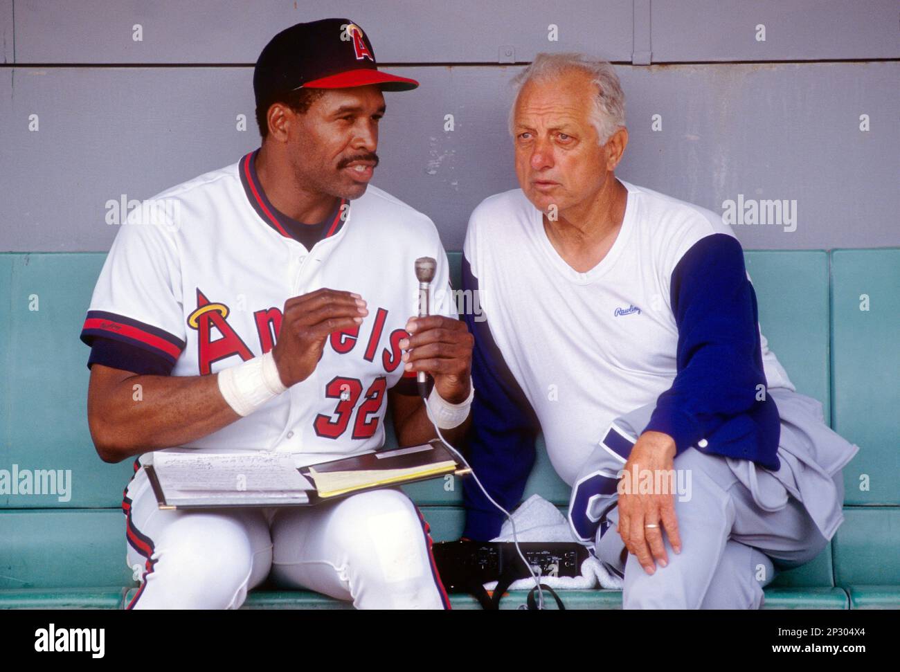 Dave Winfield Angels