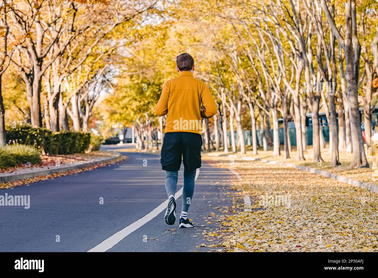 Man running, jogging outdoors on the street with autumn trees with ...