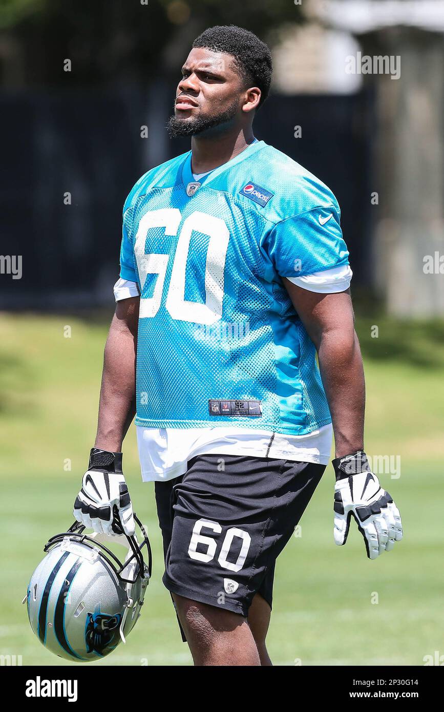 09 May 2015: Tackle Daryl Williams during drills at Carolina Panthers ...