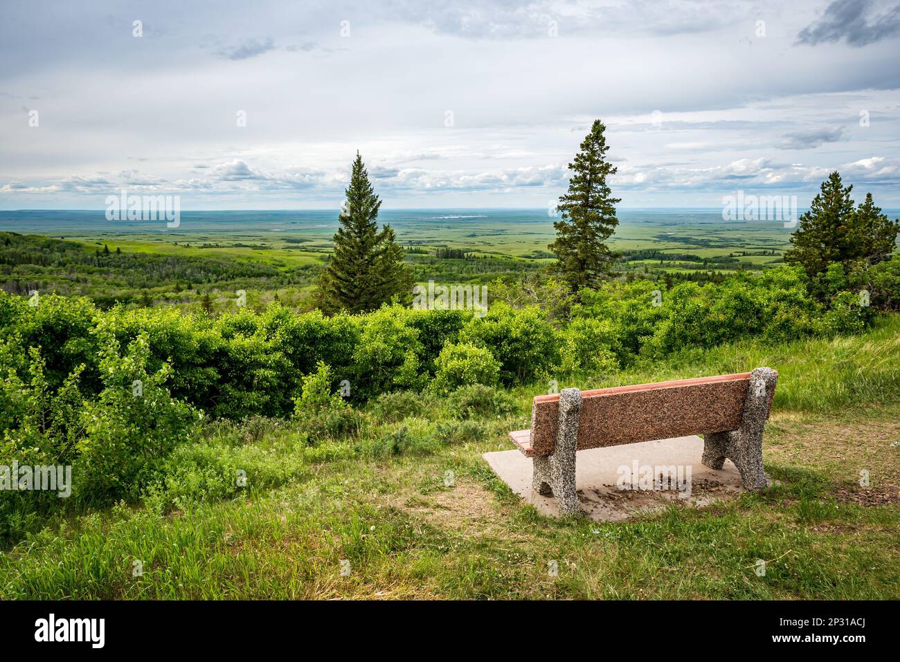 A bench overlooking Lookout Point in Cypress Hills Interprovincial Park ...