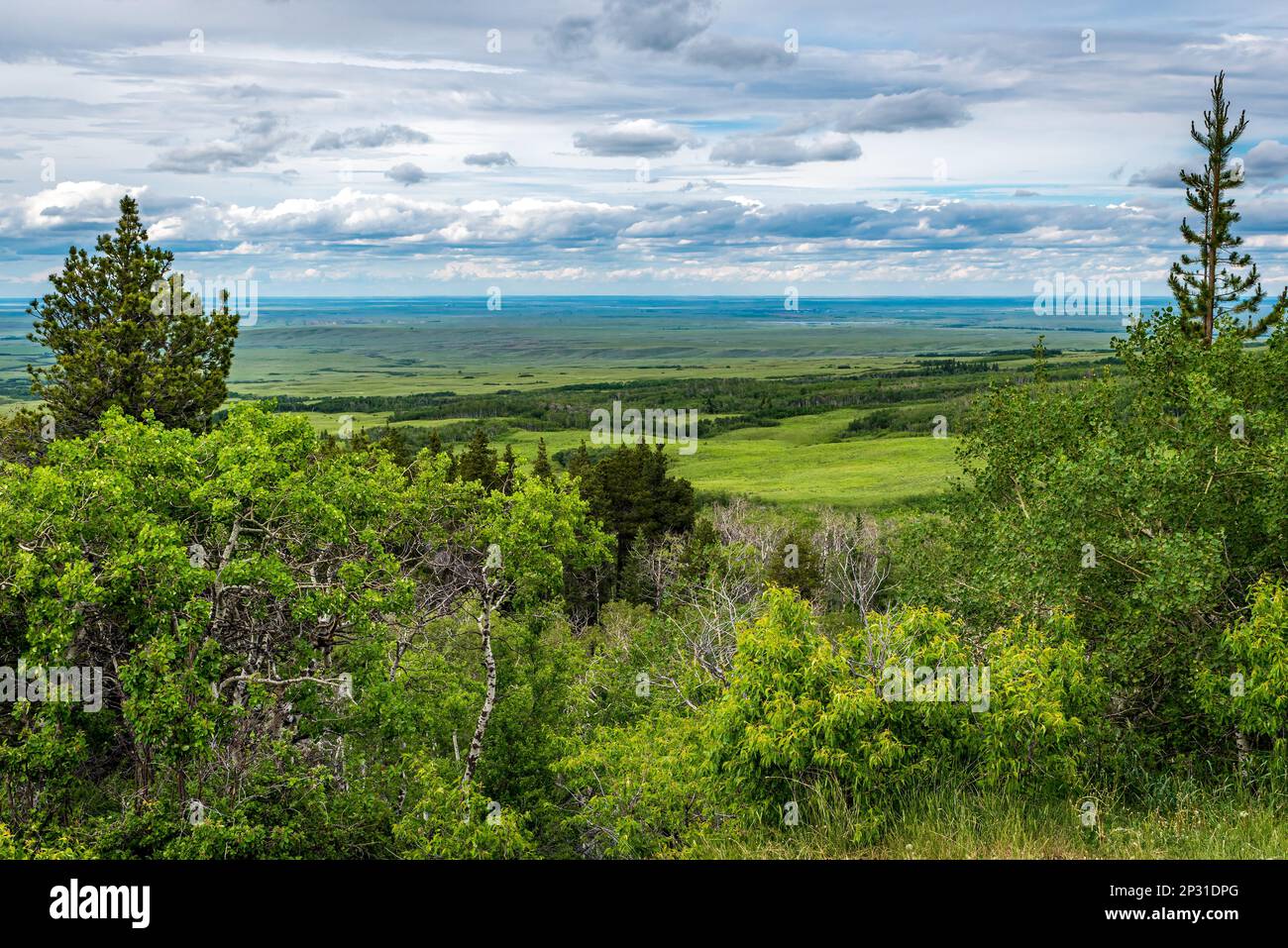Cypress hills provincial park hi-res stock photography and images - Alamy