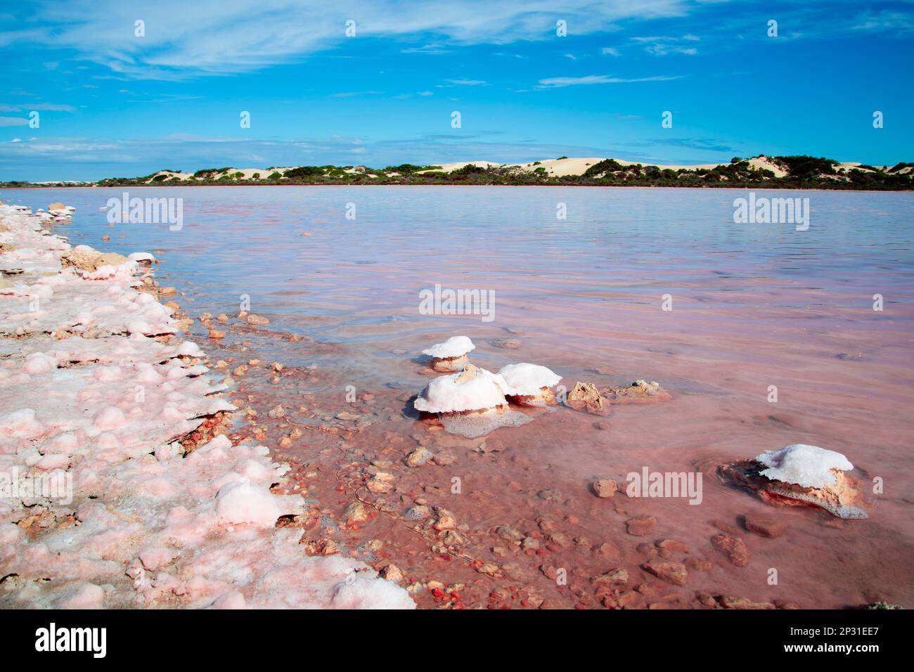 Point Sinclair Pink Lake - South Australia Stock Photo - Alamy