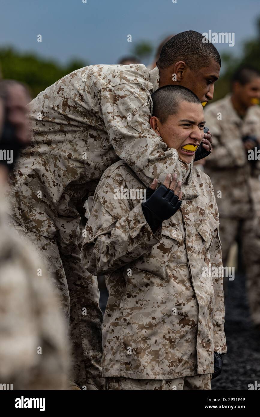 U.S. Marine Corps recruits with Alpha Company, 1st Recruit Training ...
