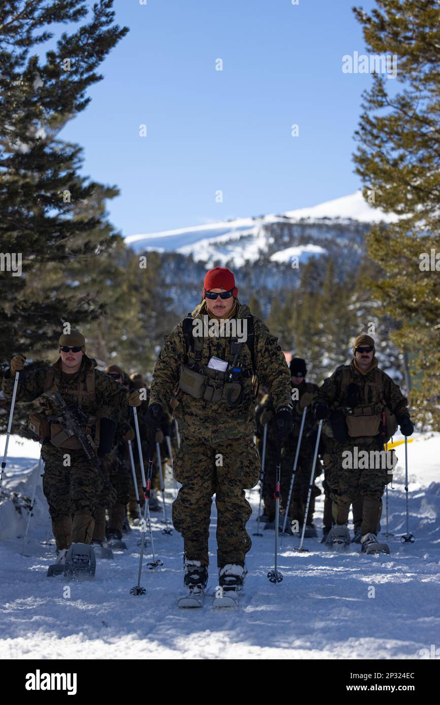 U.S. Marines with 2d Battalion, 8th Marine Regiment, 2d Marine Division ...