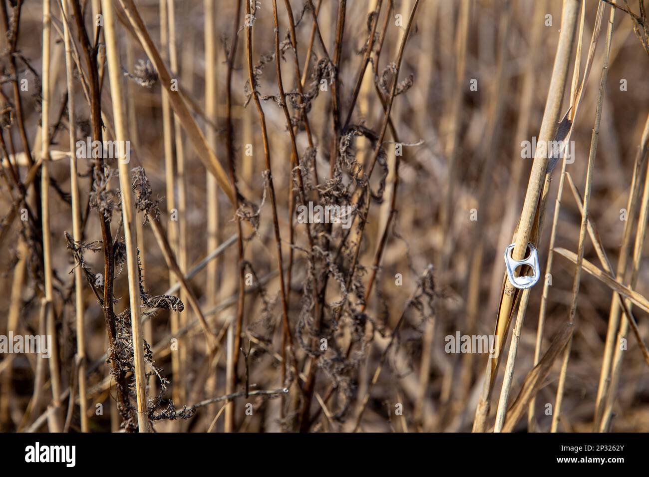 Beer tab hi-res stock photography and images - Alamy