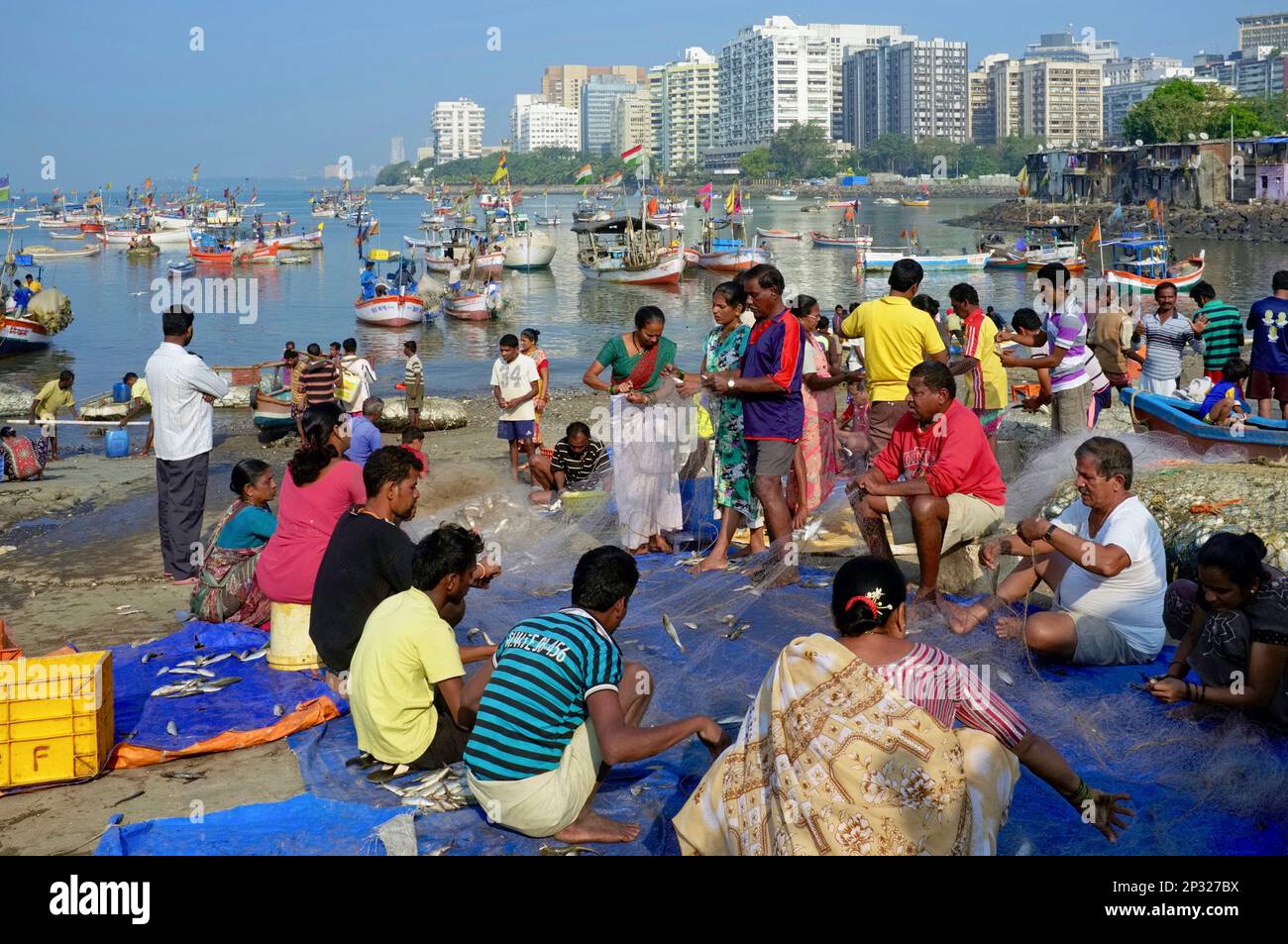 Fishermen and family members sorting fish at Machchimar Colony ...