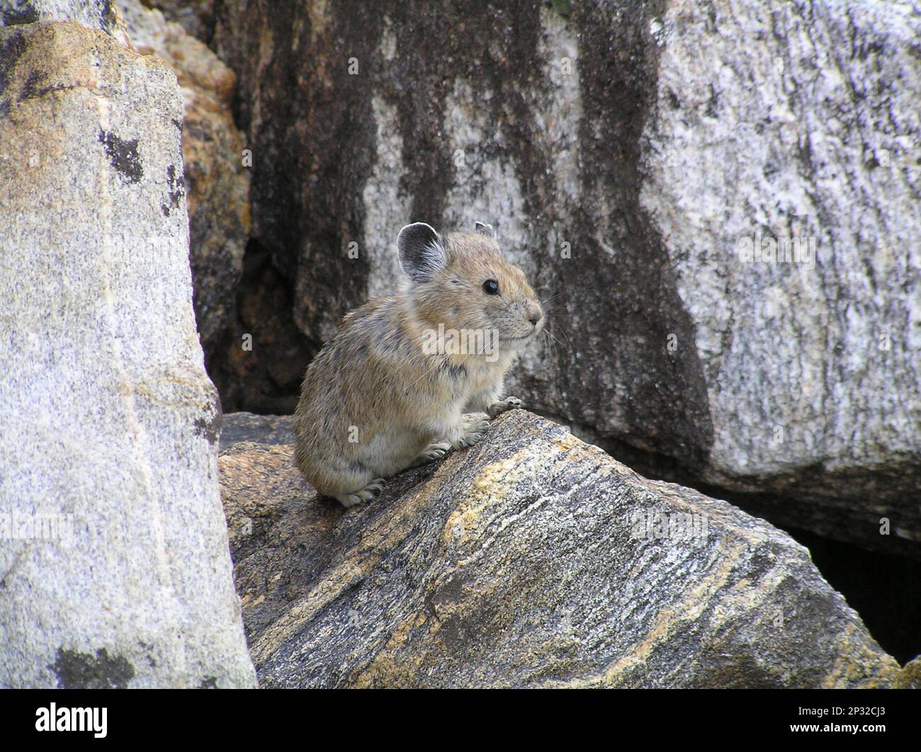 This handout photo, taken Aug. 17, 2005, provided by the US Geological ...