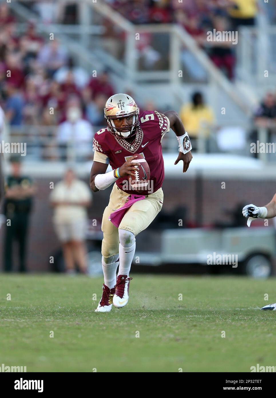 Florida State Seminoles Football