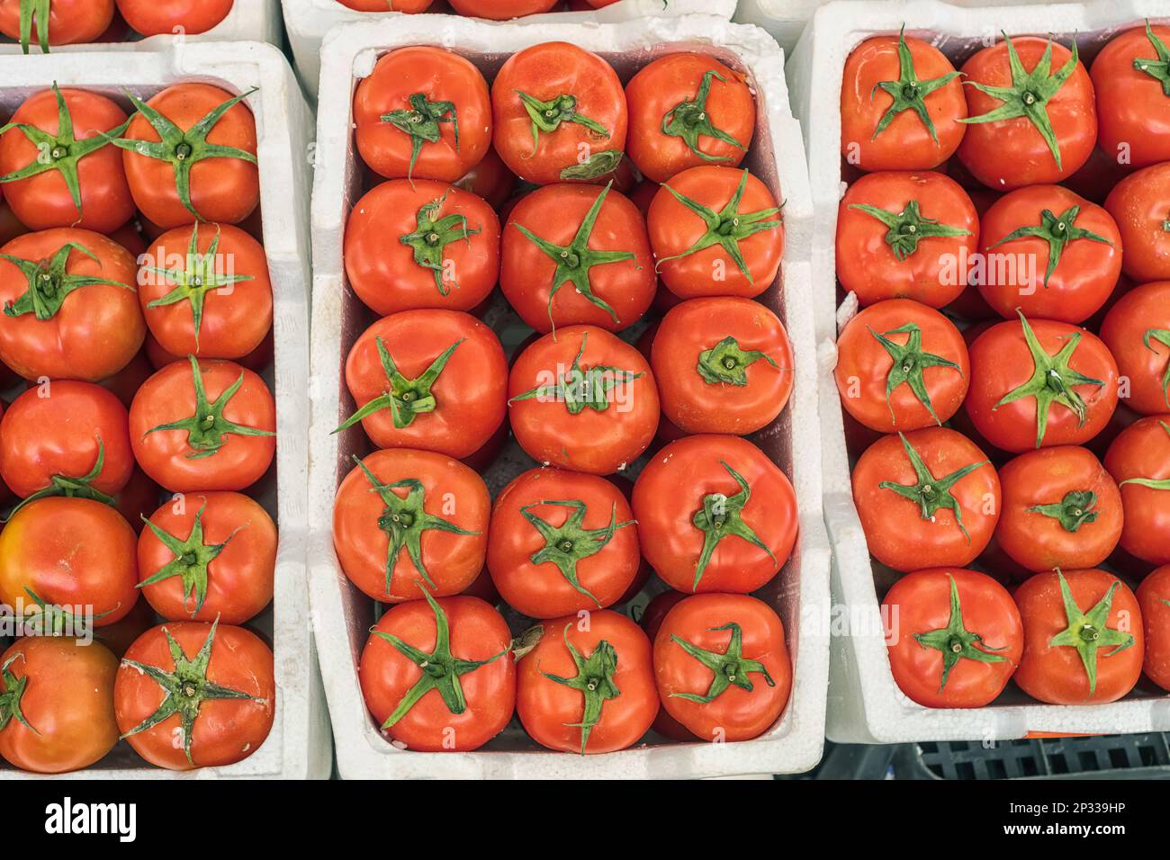 Fresh Saudi Tomatoes Stock Photo - Alamy