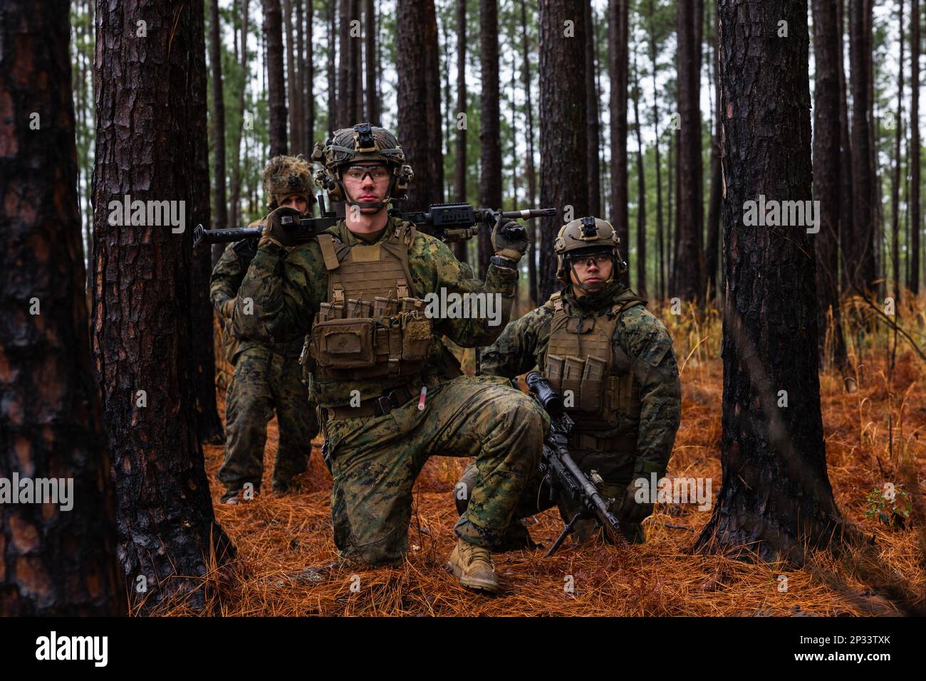 U.S. Marines with 2d Battalion, 6th Marine Regiment, 2d Marine Division ...