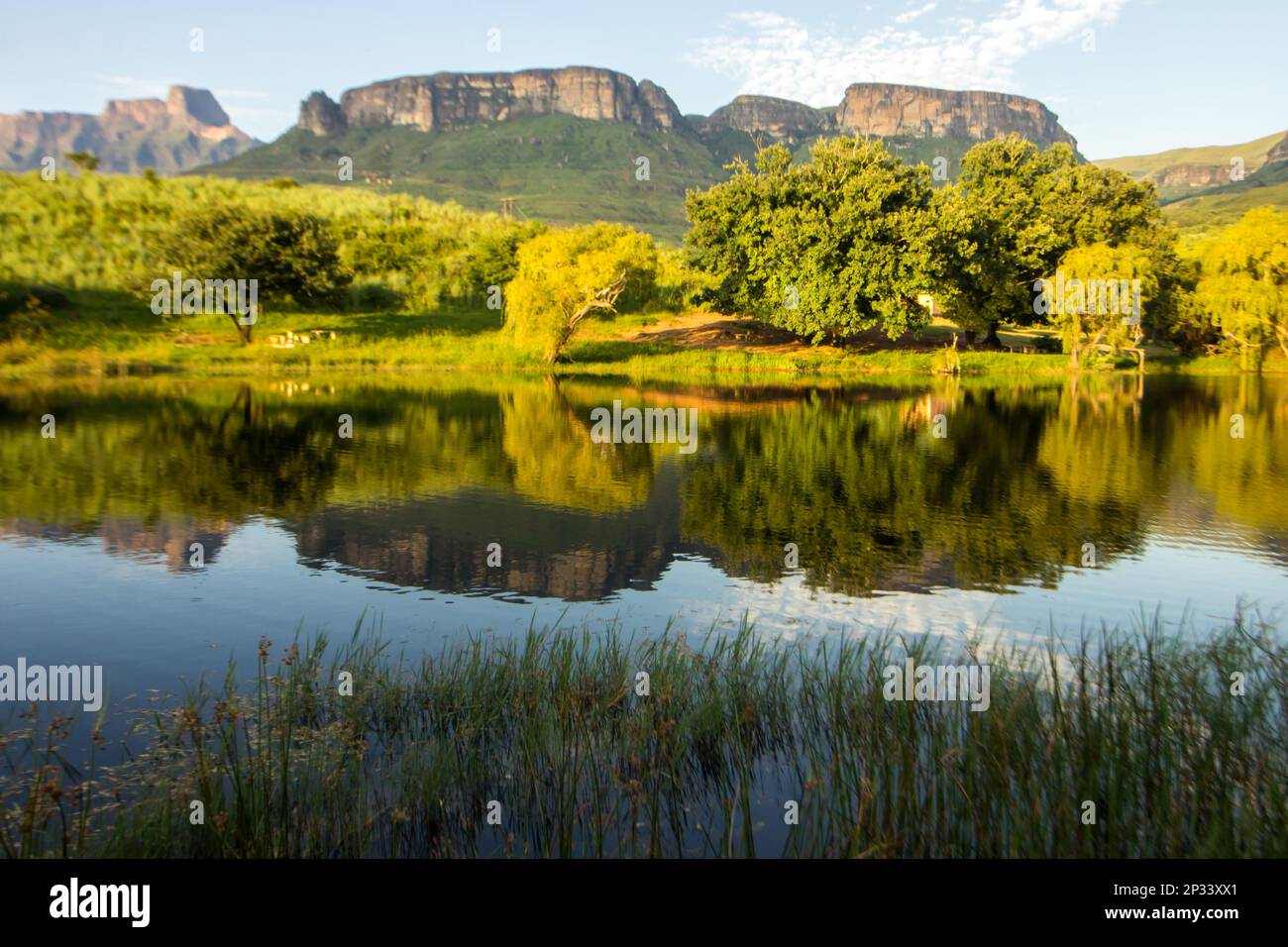 Reflection of tall sandstone cliffs of the Drakensberg Mountains in the ...