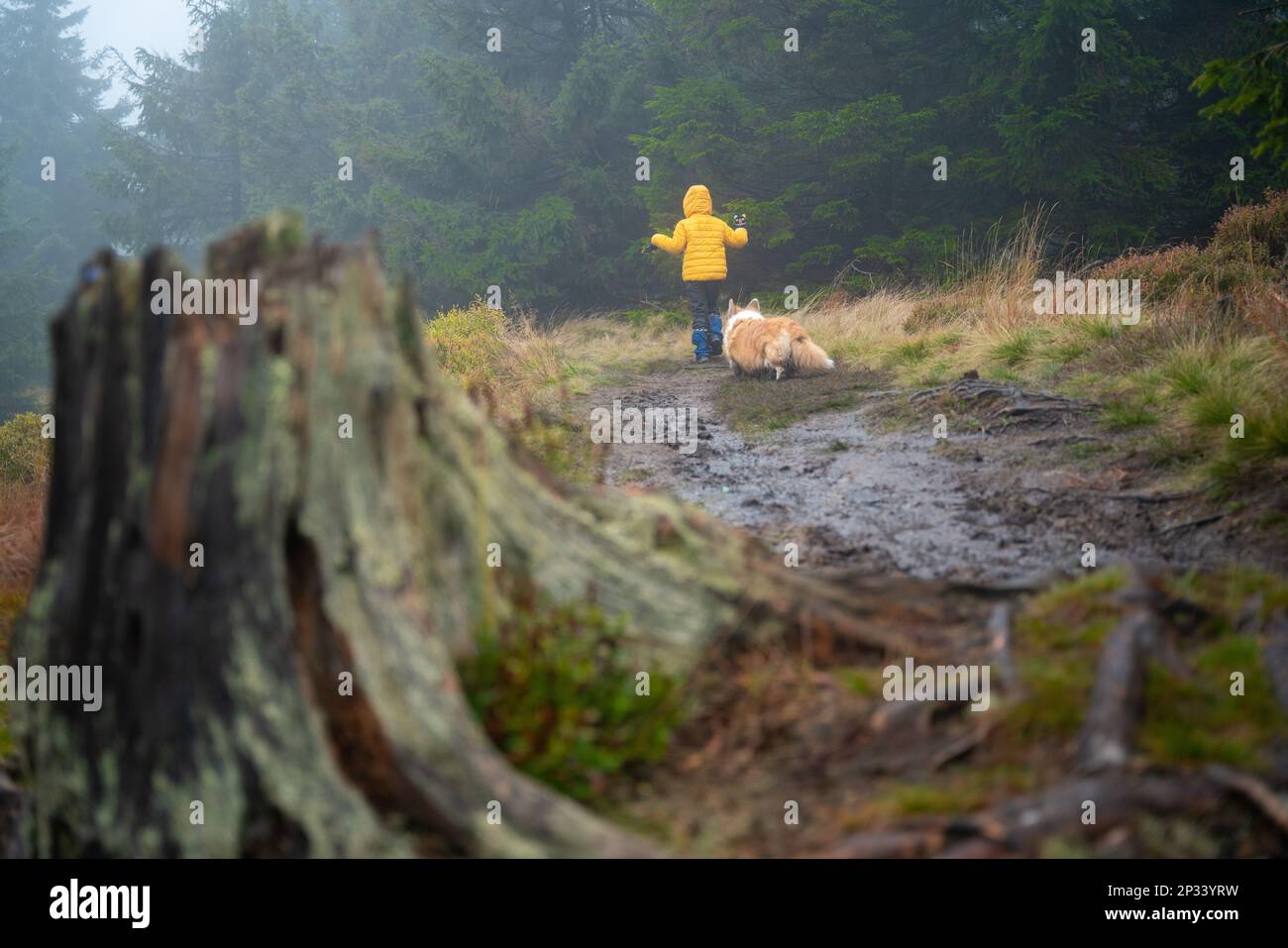 Mum and her little son go on a mountain trail in wet autumn weather ...
