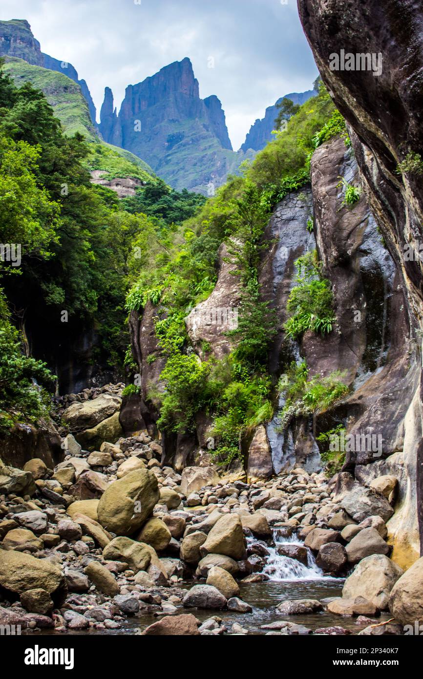 Looking down a small narrow ravine in the Drakensberg Mountains, with ...