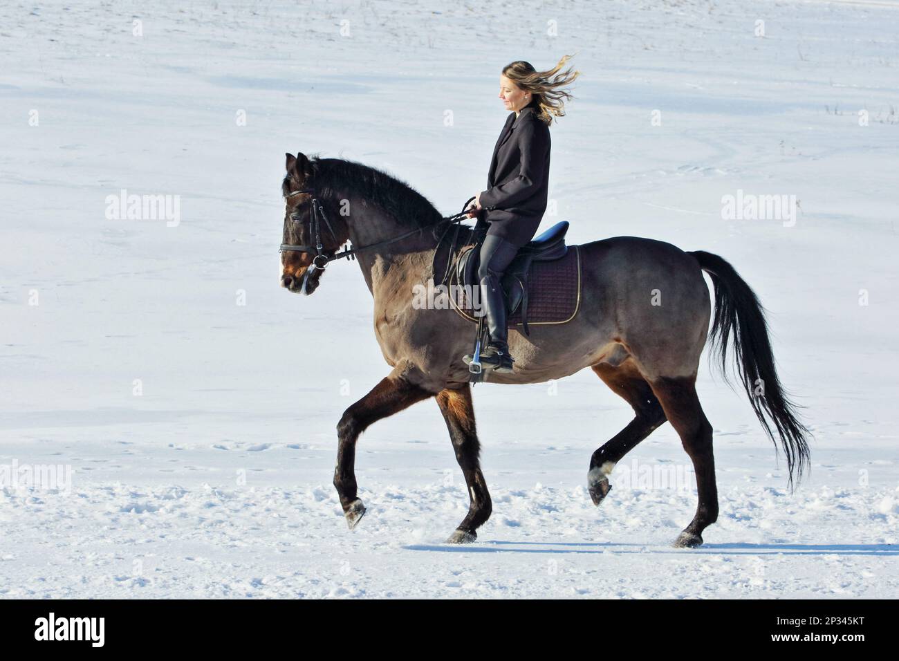 Horseback leisure hi-res stock photography and images - Alamy