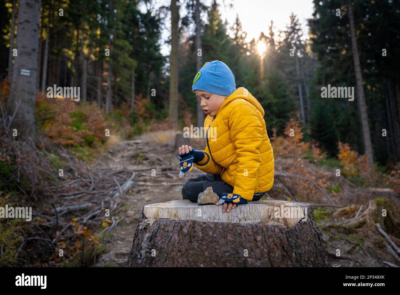 Little kid is sitting on a big stump on the mountain trail, eating ...