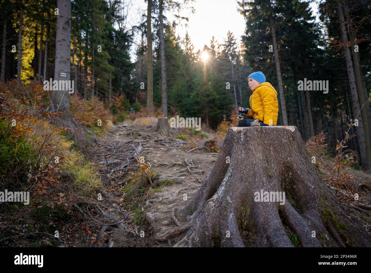 Little kid is sitting on a big stump on the mountain trail, eating ...
