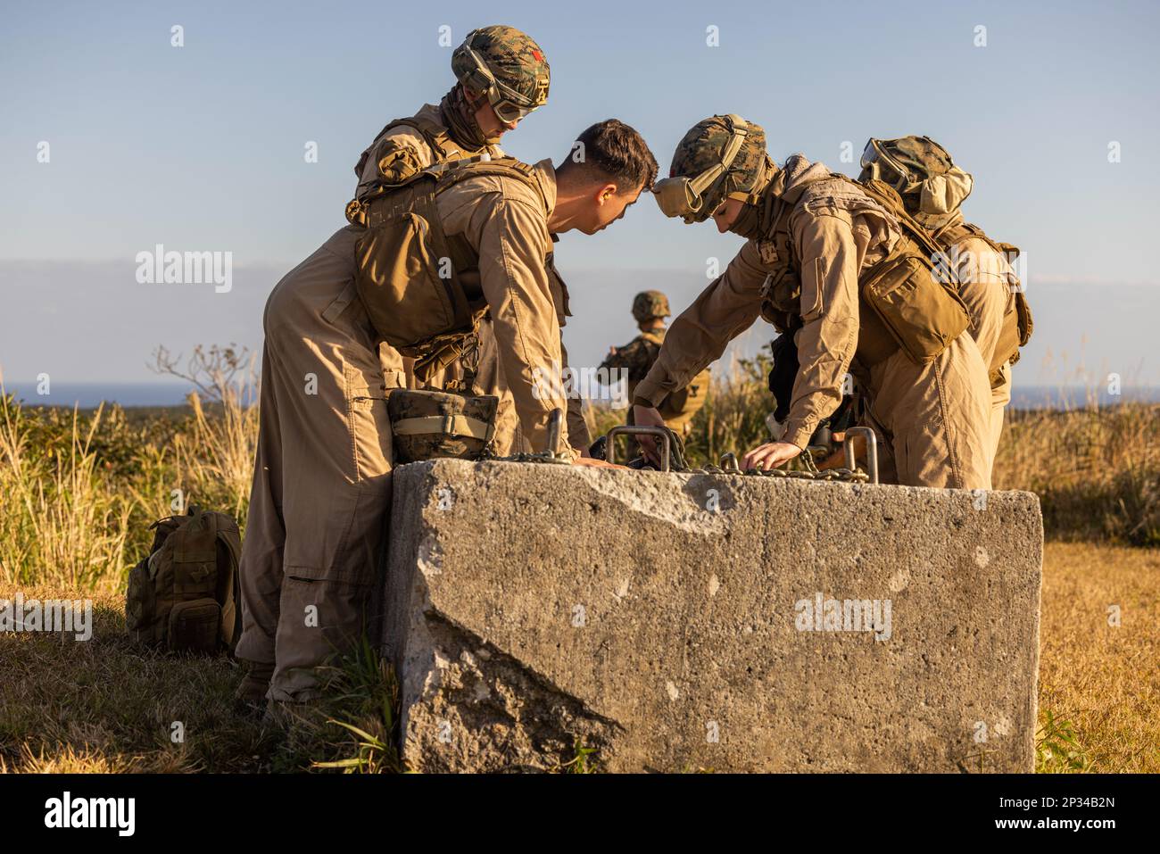 U.S. Marines with 3rd landing support battalion (LSB), prepare a ...