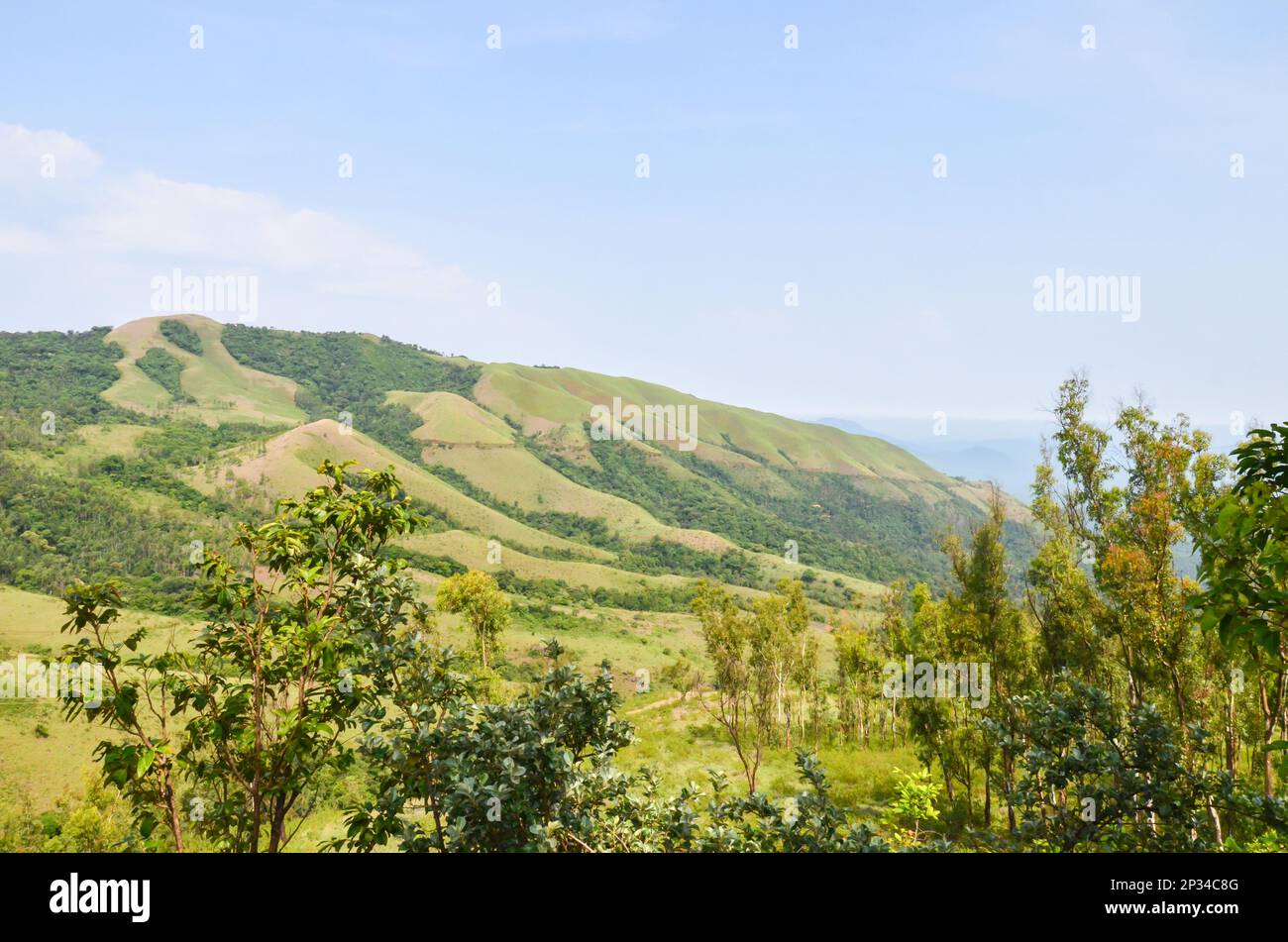 Mullayanagiri range of mountains near Chickmagalur, India Stock Photo ...