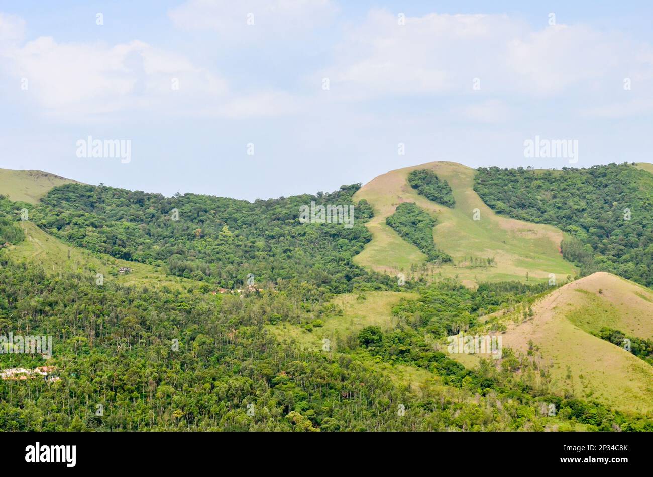 Mullayanagiri range of mountains near Chickmagalur, India Stock Photo ...