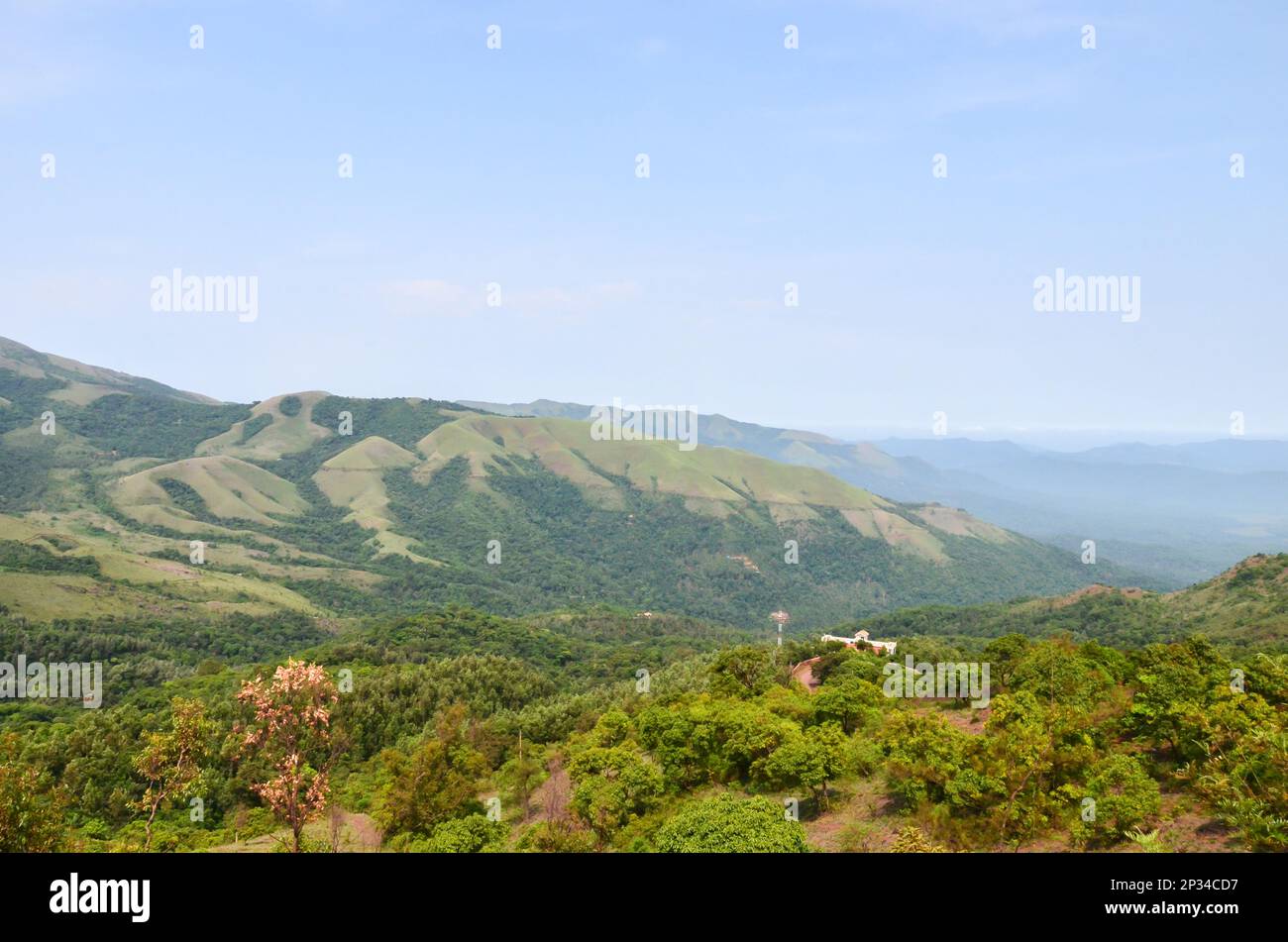 Mullayanagiri range of mountains near Chickmagalur, India Stock Photo ...