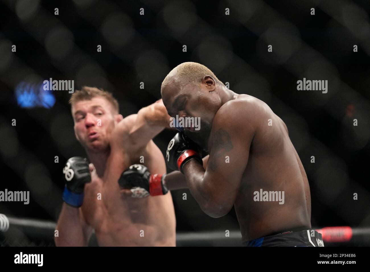 Dricus du plessis 2023 hi-res stock photography and images - Alamy