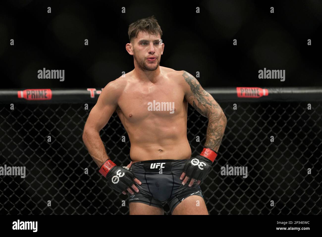 LAS VEGAS, NV - MARCH 4: Esteban Ribovics battles Loik Radzhabov in ...