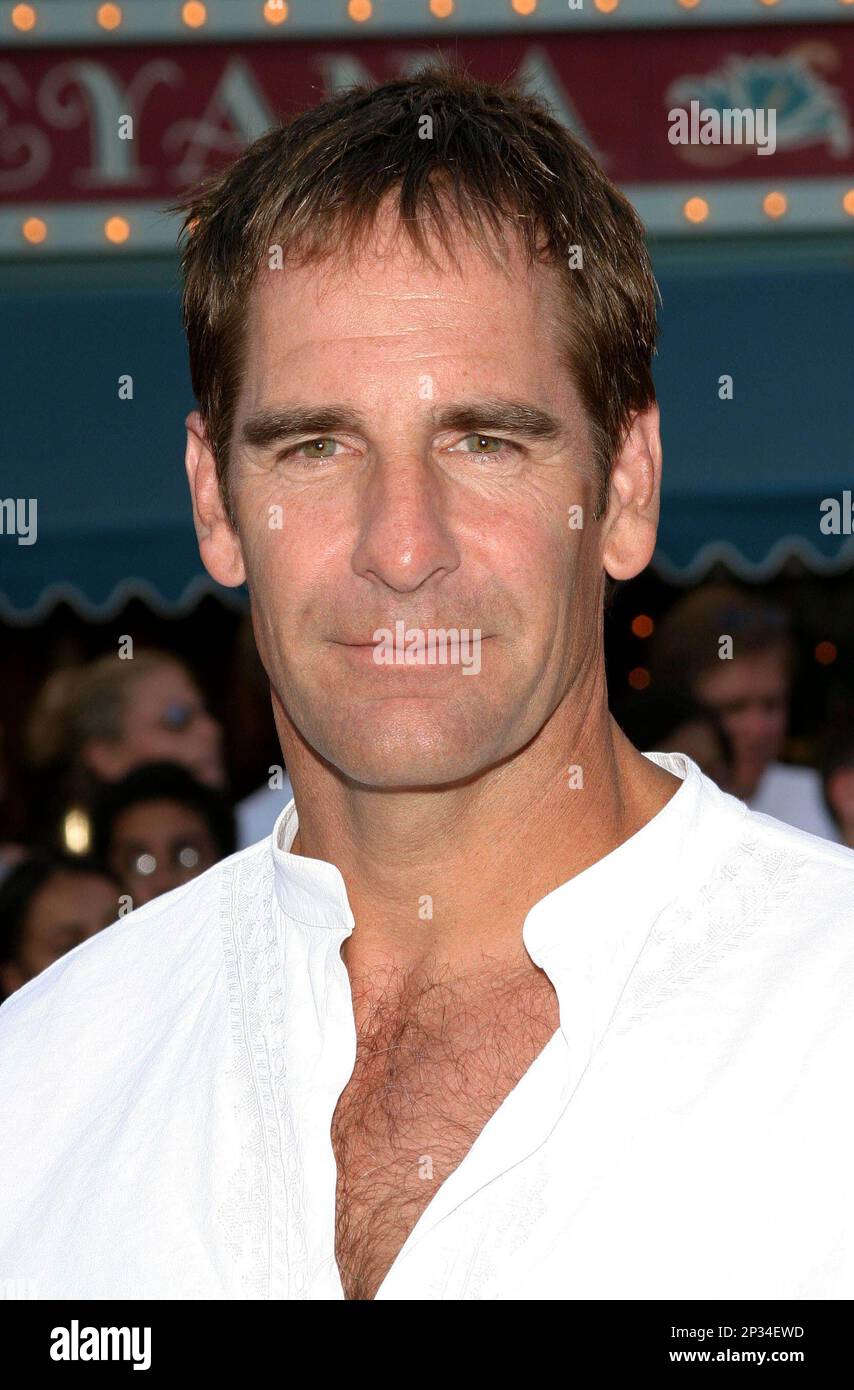 Photo by: Tim GoodwinSTAR MAX, Inc. - copyright 2003ALL RIGHTS ...