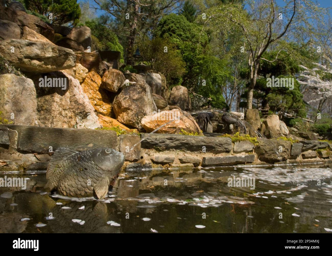 A fish fountain is featured in the Japanese-style Garden at the ...