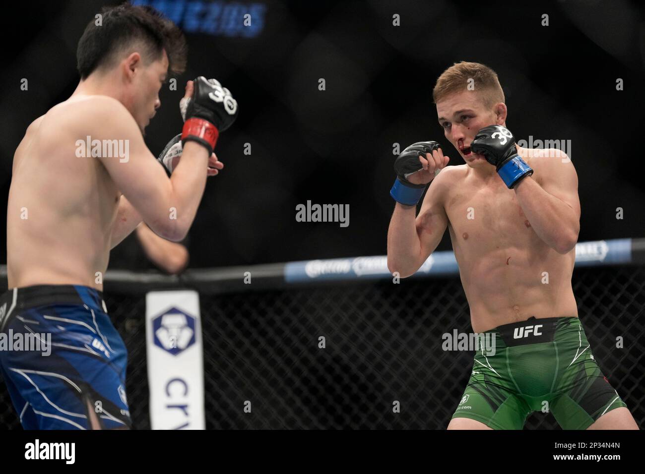 LAS VEGAS, NV - MARCH 4: (L-R) Mana Martinez battles Cameron Saaiman in ...