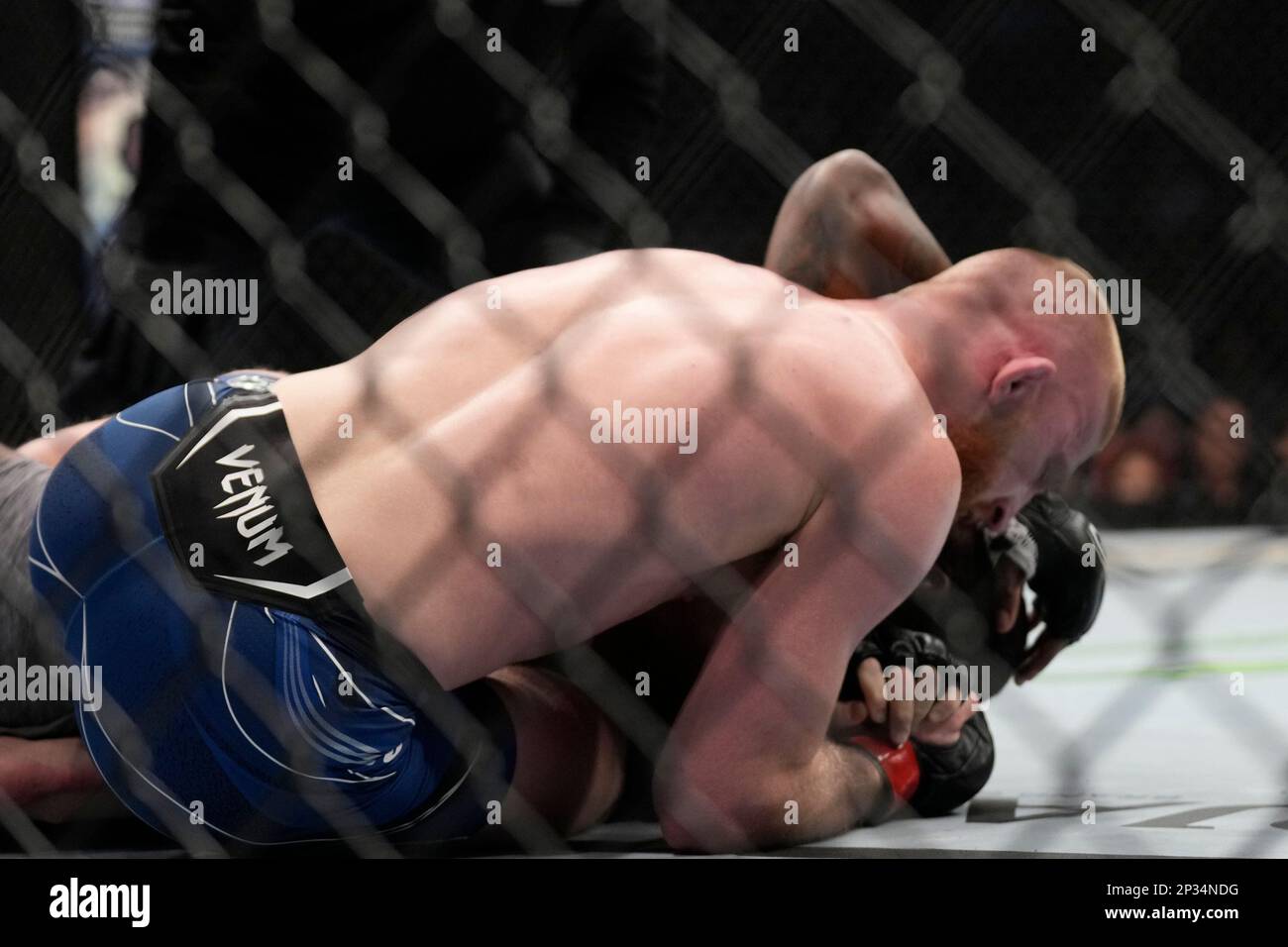 Bo nickal ufc hi-res stock photography and images - Alamy