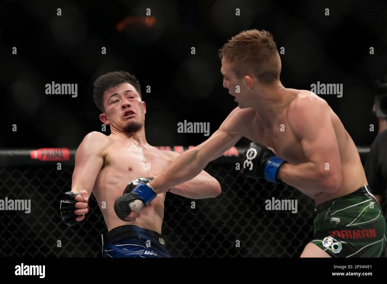 LAS VEGAS, NV - MARCH 4: (R-L) Cameron Saaiman punches Mana Martinez in ...